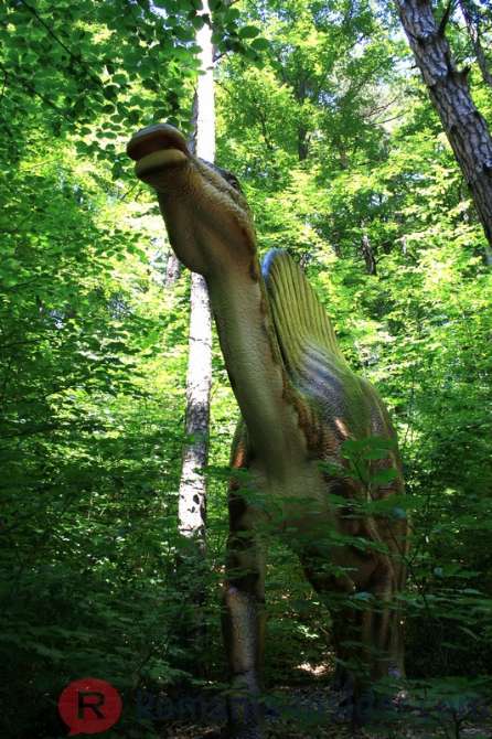 Back into dinosaur era in Central Romania: Dino Parc Rasnov, where ...