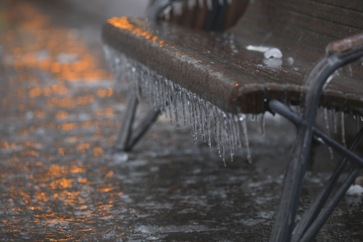 Hundreds of trees down, cars damaged in Bucharest after freezing rain ...