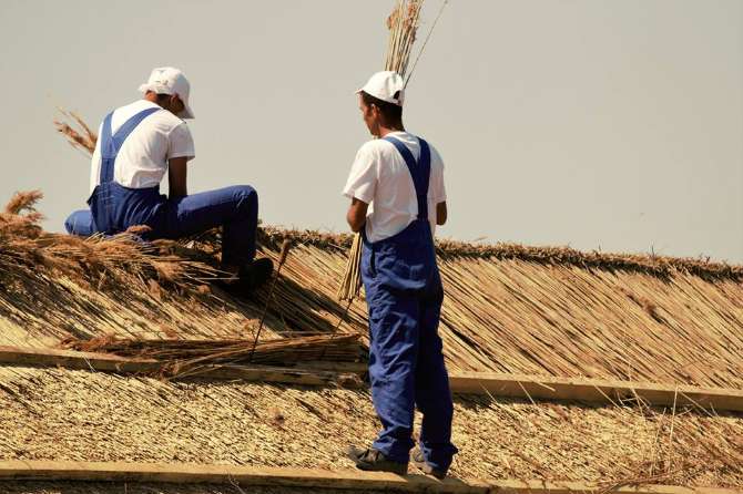 New prison project in Romania lets convicts support themselves, build ...