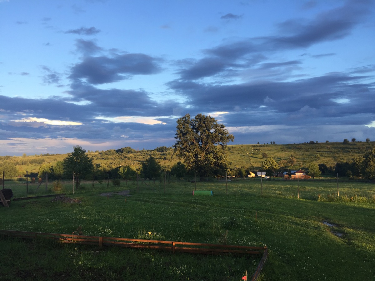 Life in the Romanian countryside: Rediscovering nature from our remote ...