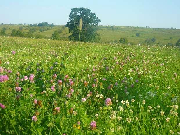 Bucharest City Tales: Visit the Romanian countryside | Romania Insider