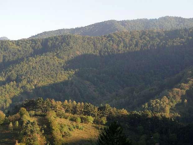 AXN campaign addresses one of Romania’s major environmental issues ...