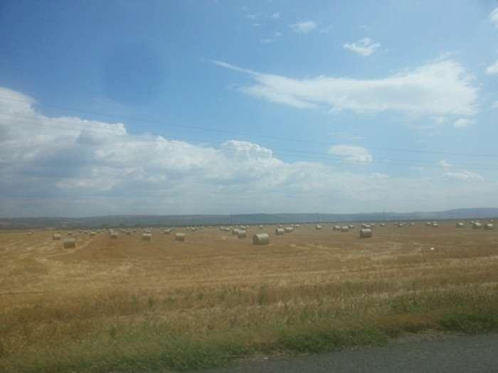 Romanian agriculture lender ups profit by 57% | Romania Insider