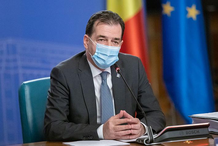 Romania's forest management company invests EUR 9.3 mln in regeneration ...