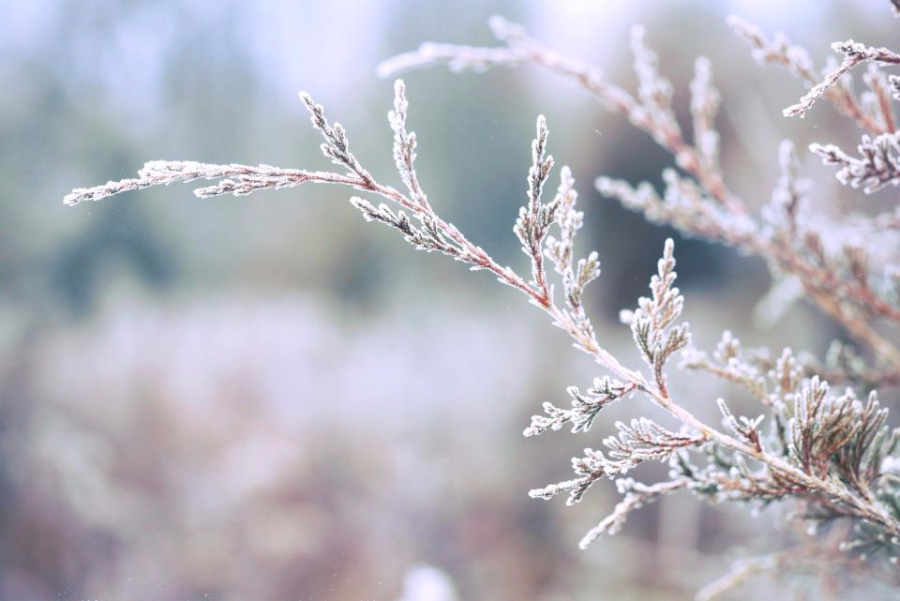 Temperatures drop in Romania, frosty weather in the weekend | Romania ...